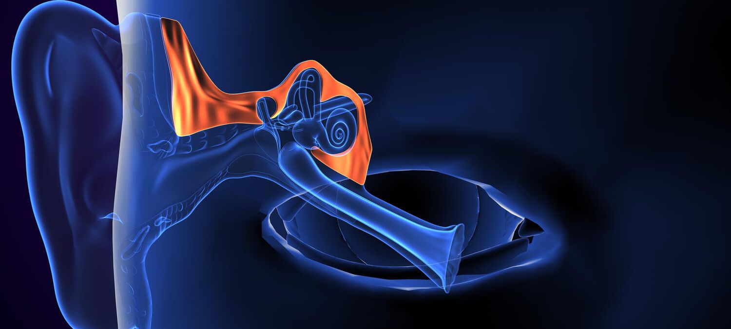 Steigbügeloperation - HNO Zentrum Frankfurt am Main